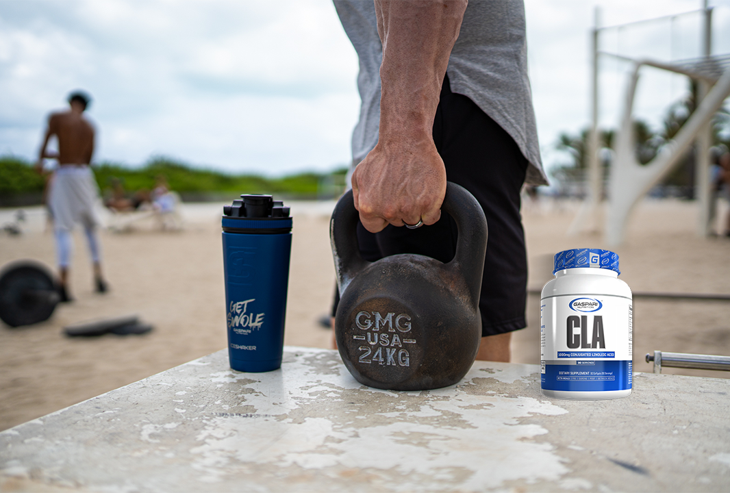 How Much CLA Should I Take Daily – Gaspari Nutrition USA